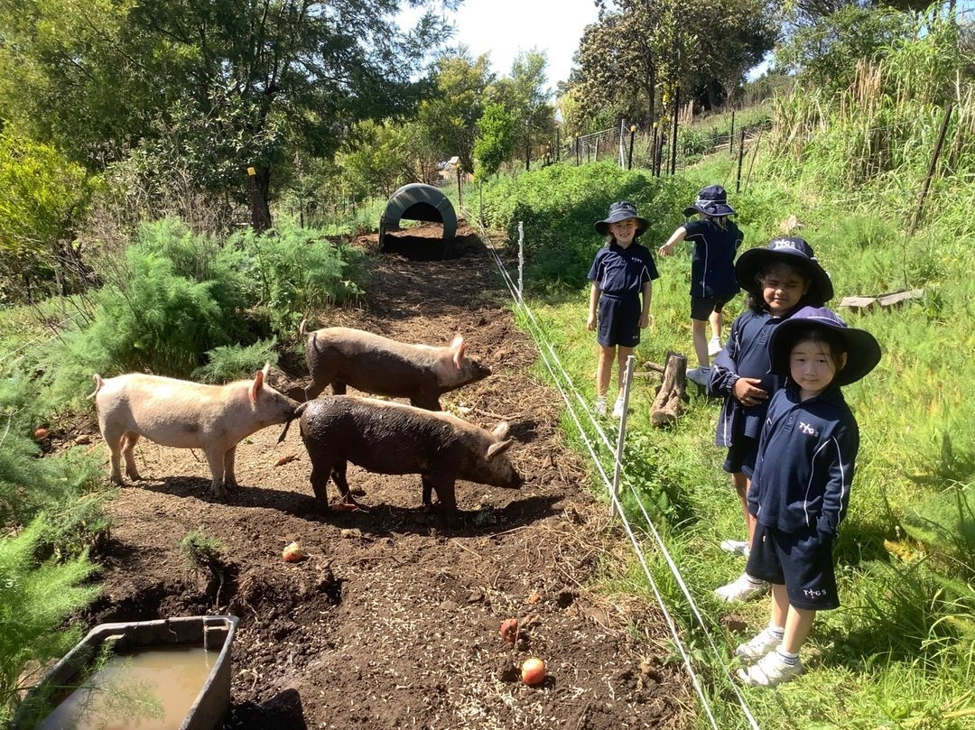 Green Connect Farm - The Illawarra Grammar School